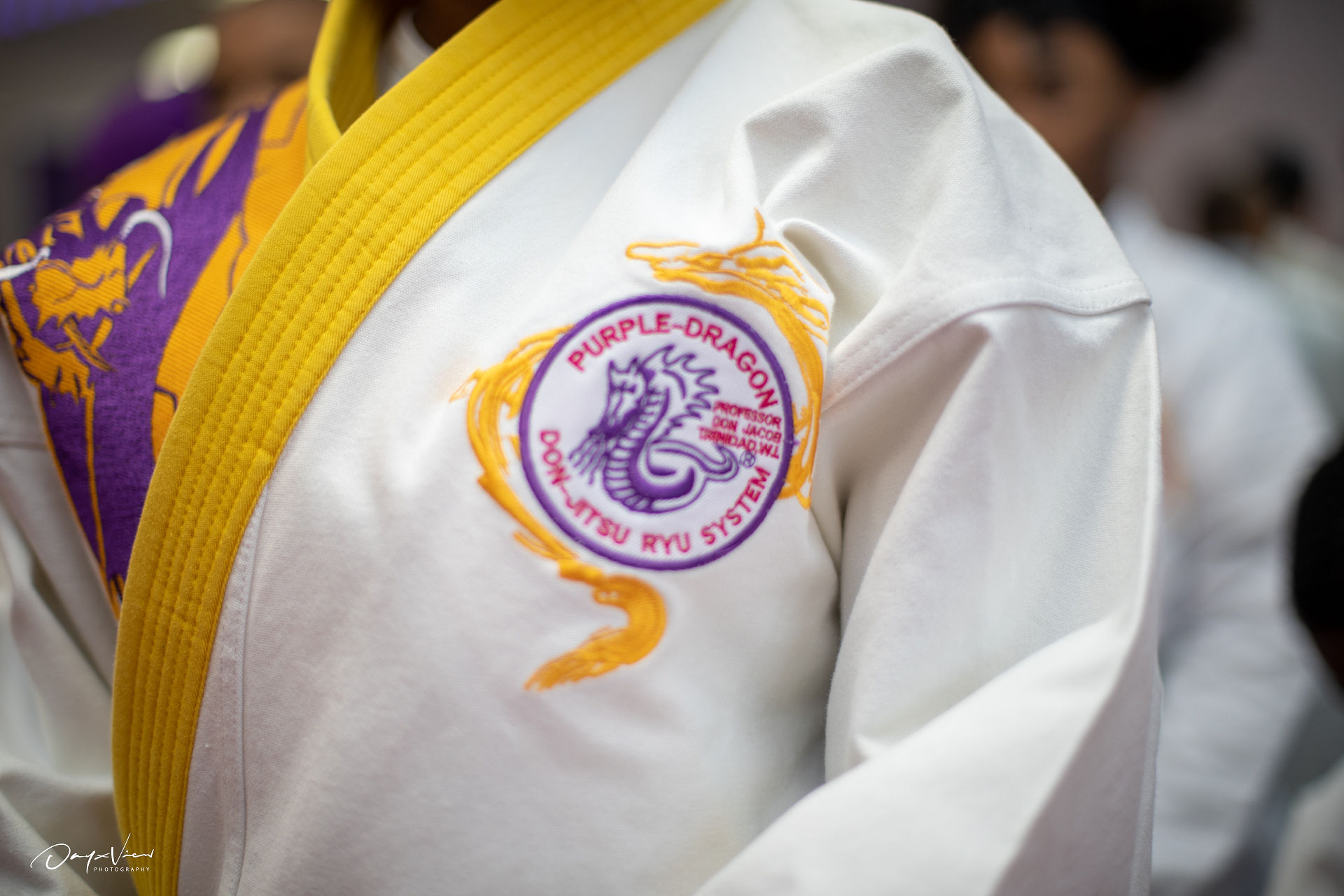 Purple Dragon Tequesta Karate Dojo